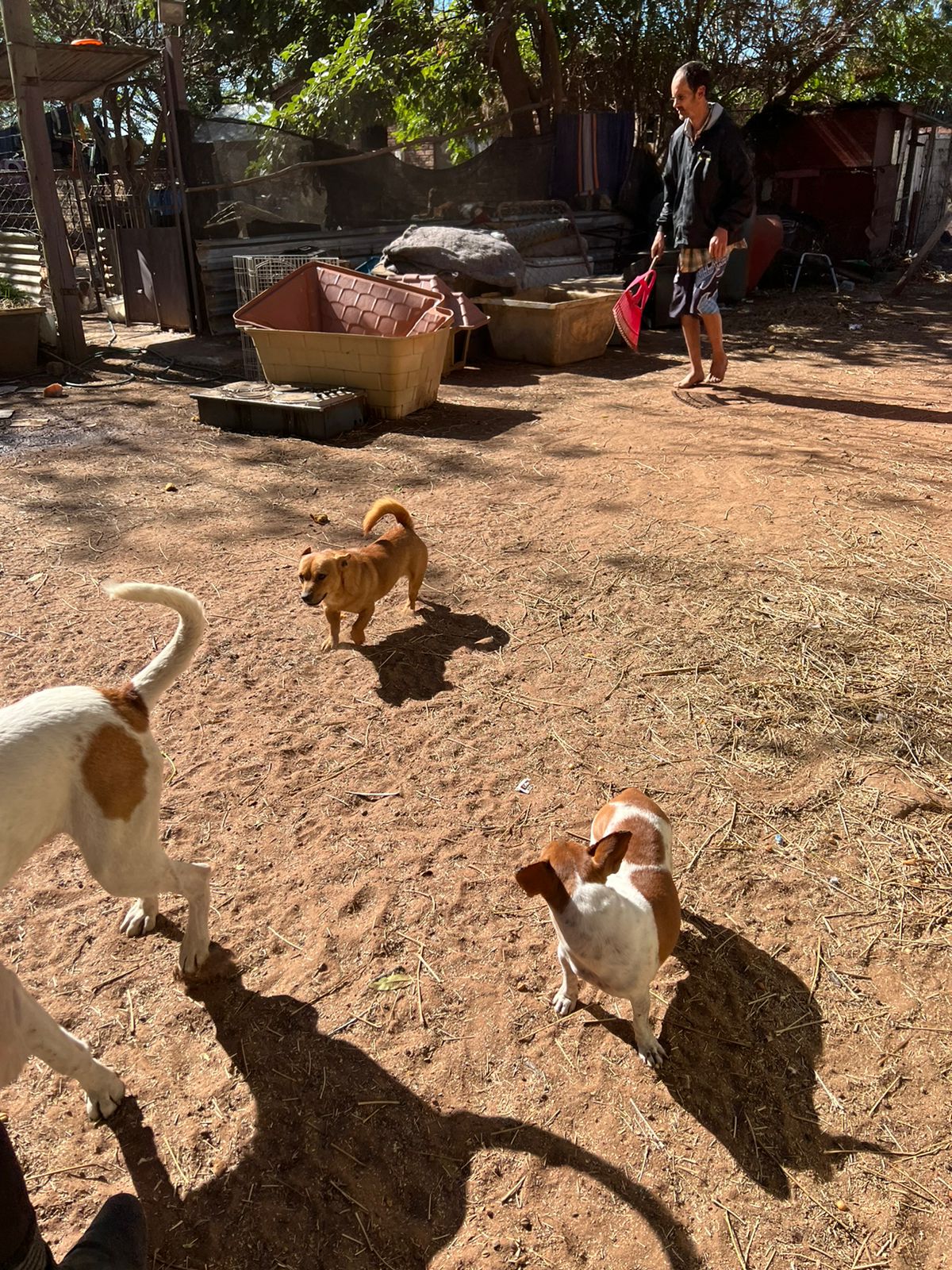 Gallery - Pet Community Outreach