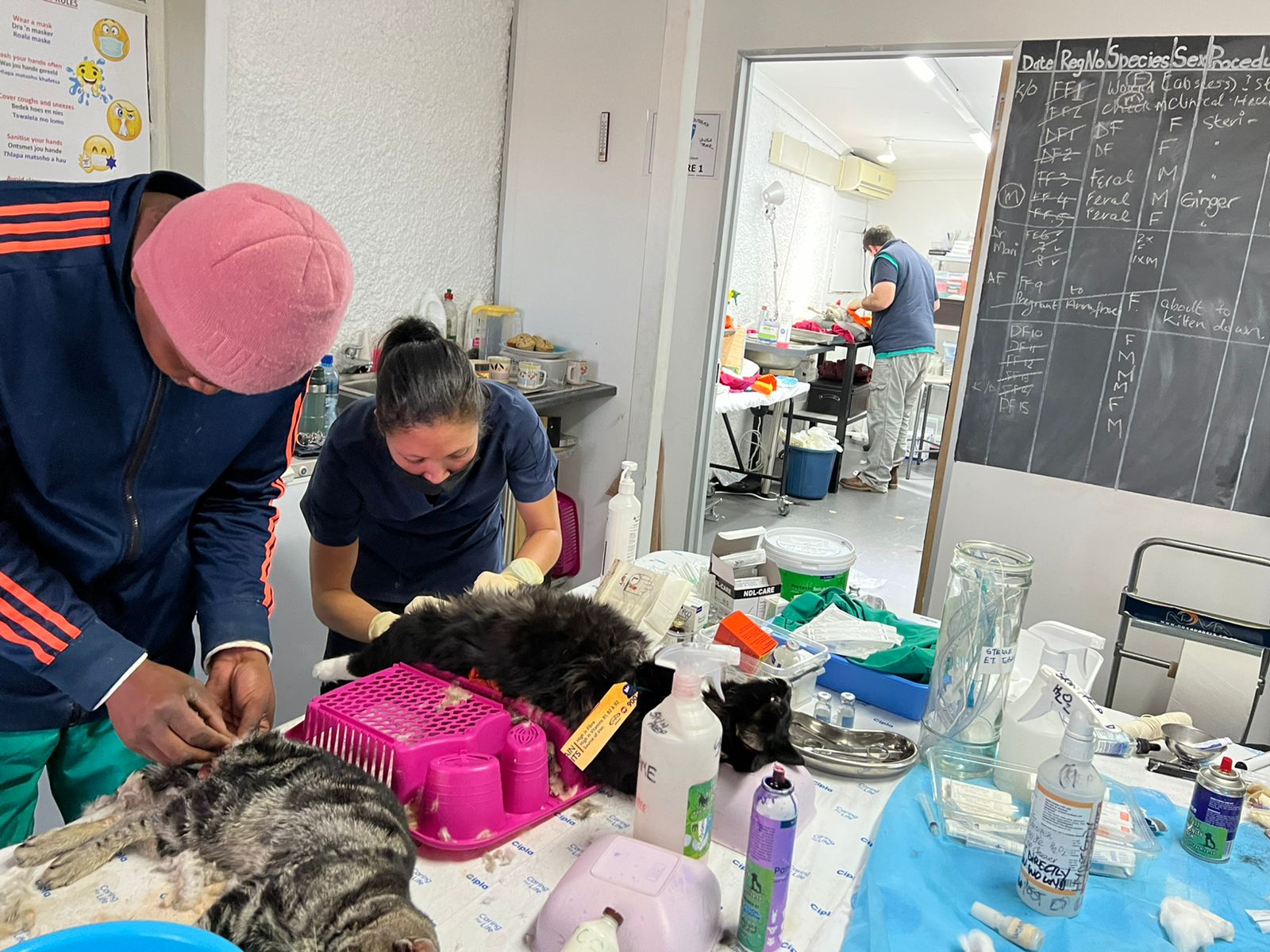 Gallery - Pet Community Outreach