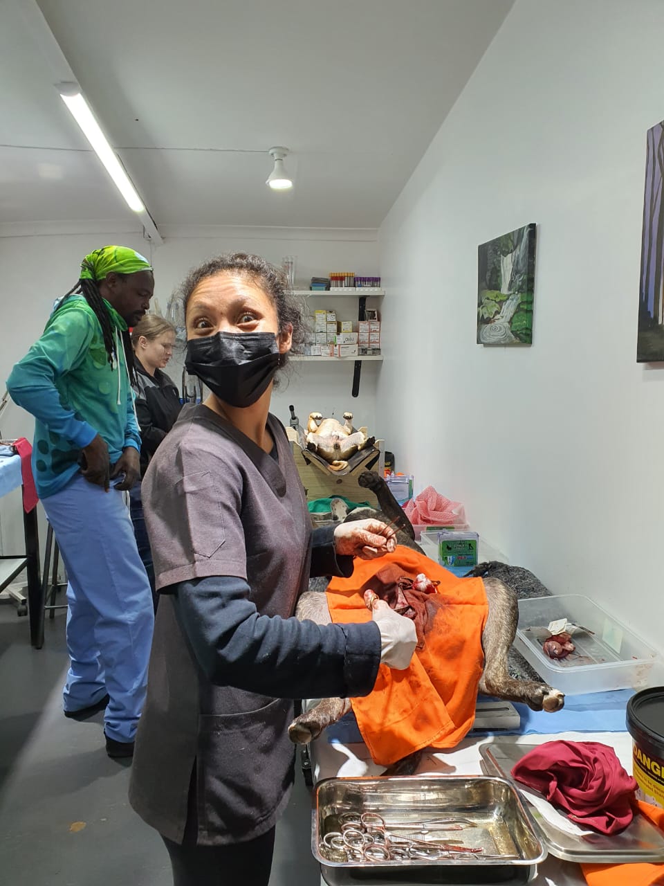 Gallery - Pet Community Outreach