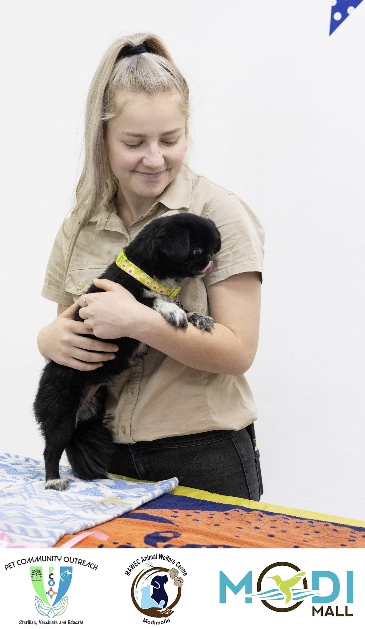 Gallery - Pet Community Outreach