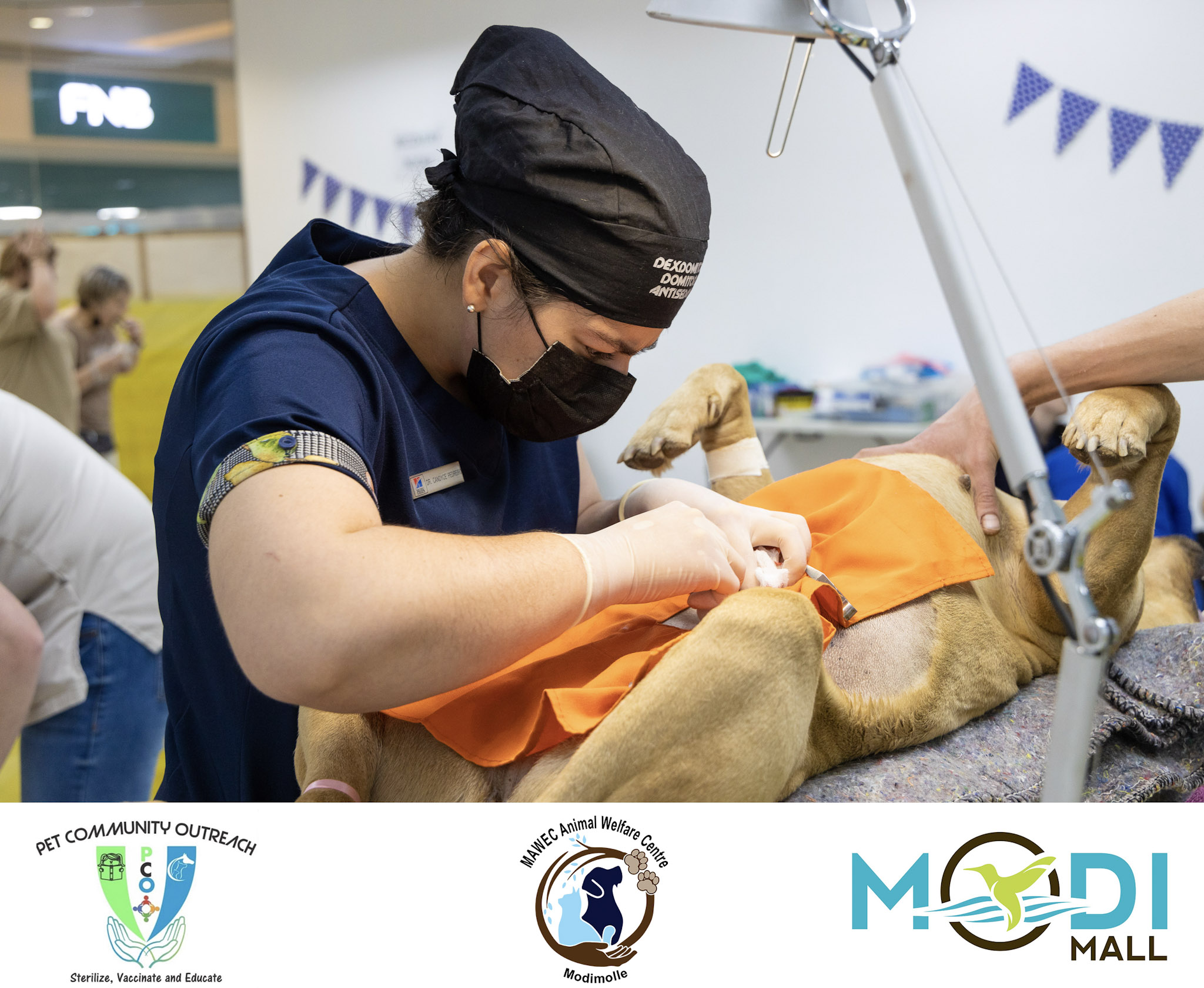 Gallery - Pet Community Outreach