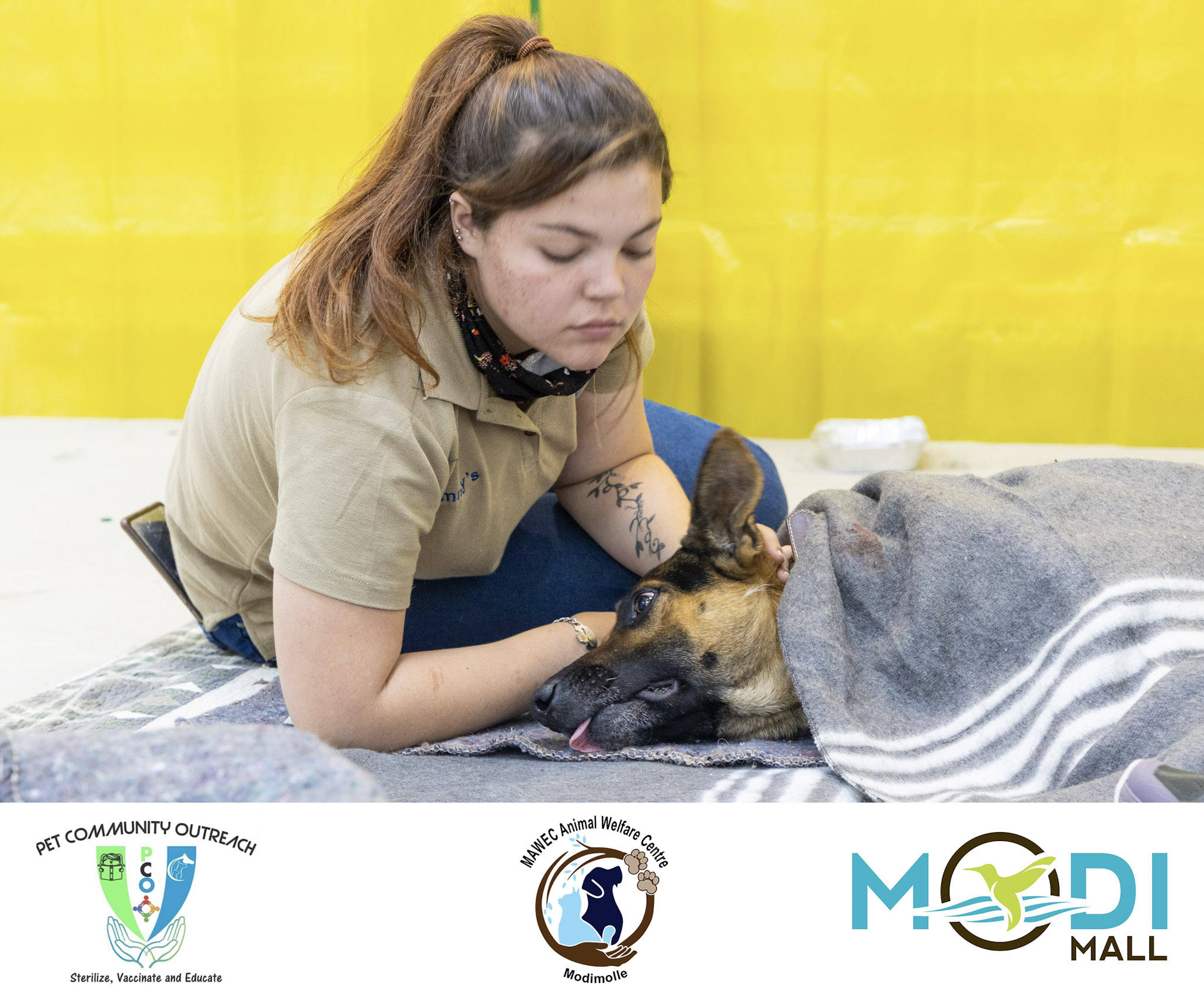 Gallery - Pet Community Outreach