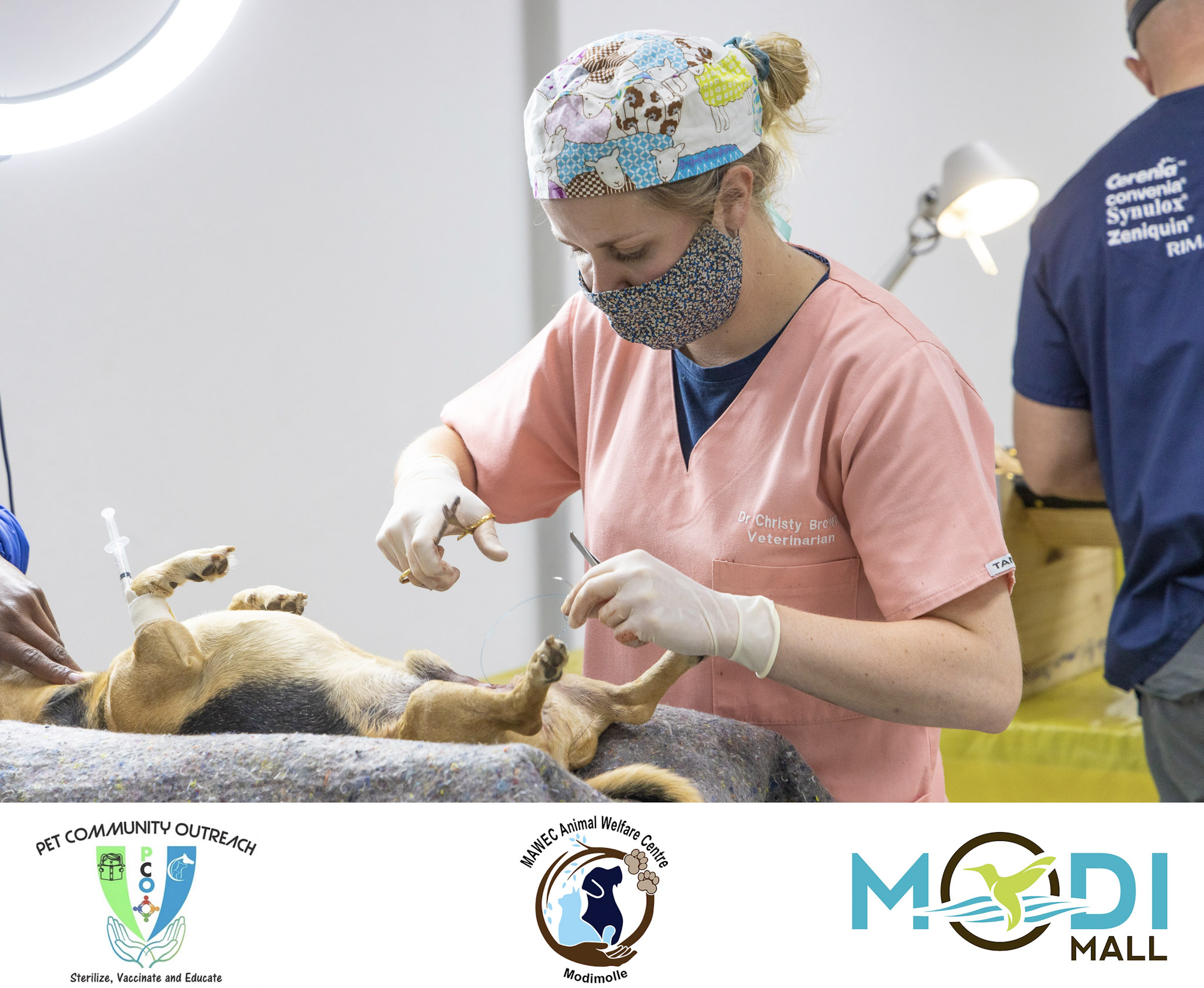 Gallery - Pet Community Outreach