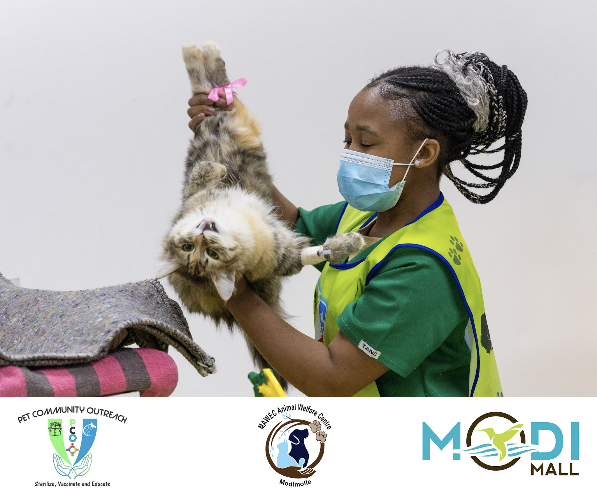Gallery - Pet Community Outreach