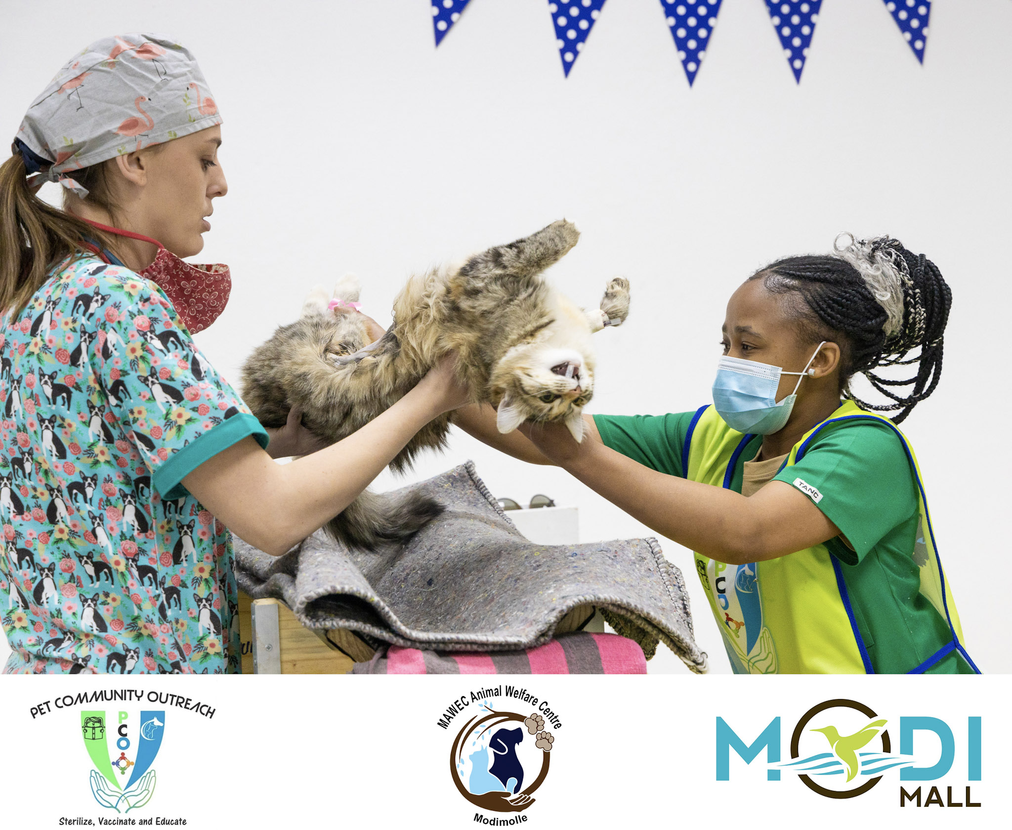 Gallery - Pet Community Outreach