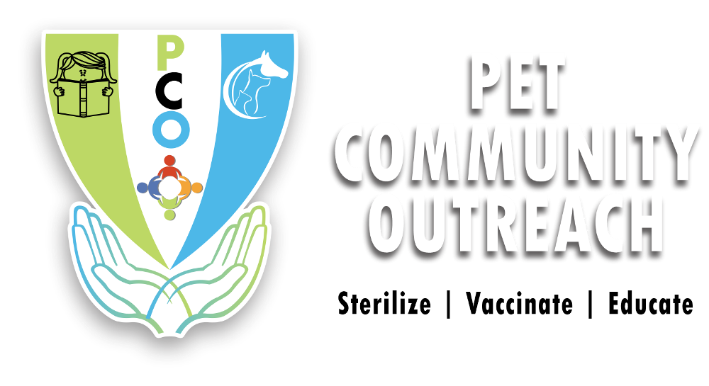 Kempton Park Outreach – 10 August 2019 | Pet Community Outreach